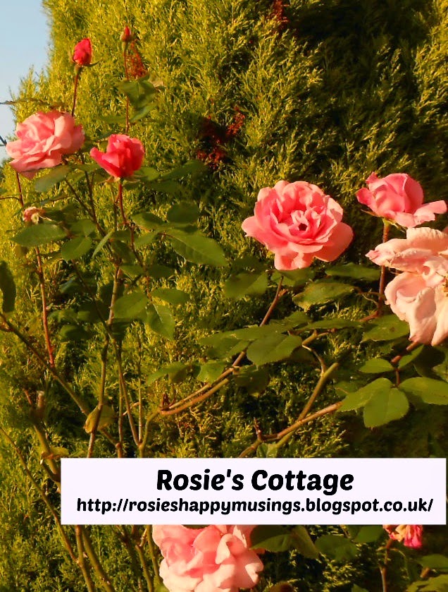 Rosie's Cottage: Rosie's Rose Garden In Bloom & Free Printables!
