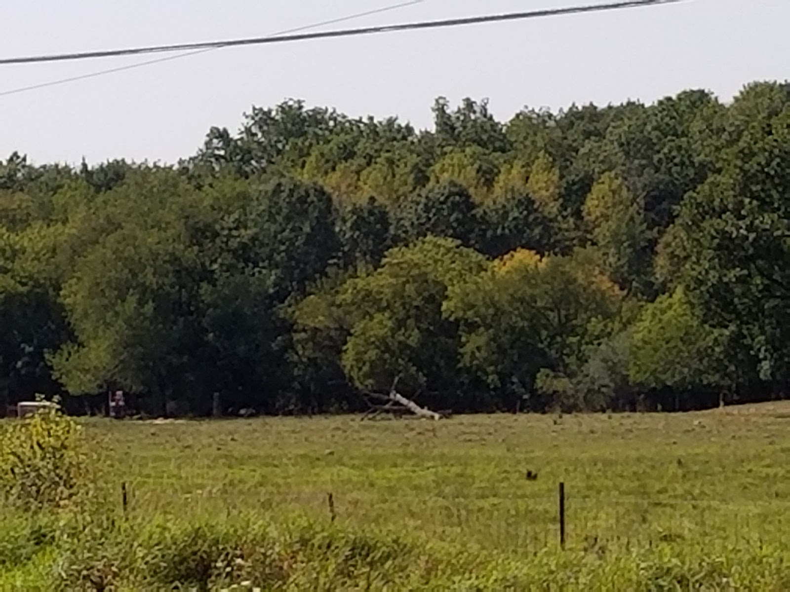 Groesser.com: Voree, Wisconsin