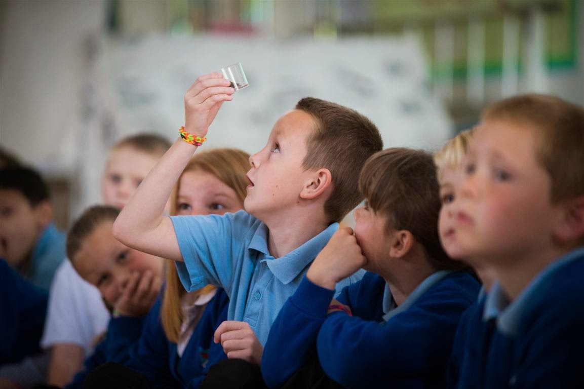 AWT Wild Schools blog: Pollinators and Predators