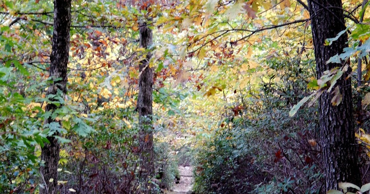 Those Who Wander: Corbin Cabin and Nicholson Hollow