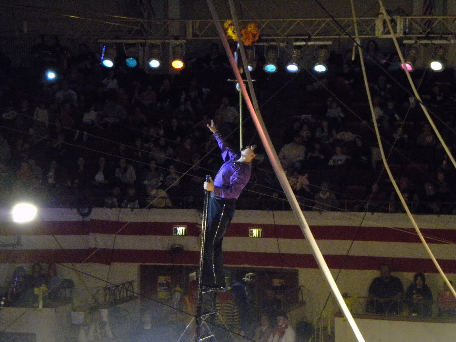 Domesticated Lady: Around Harrisburg: Zembo Shrine Circus
