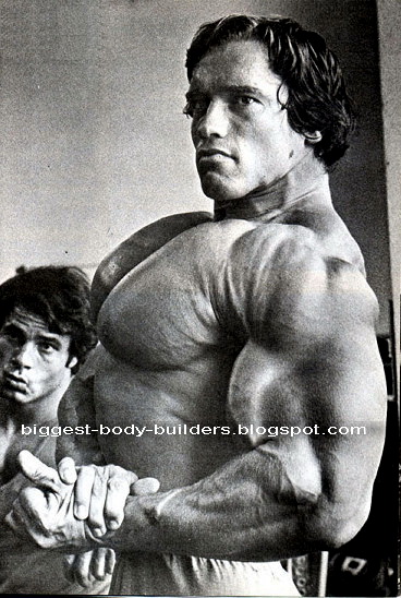 biggest body builders: biggest body builder Arnold Schwarzenegger