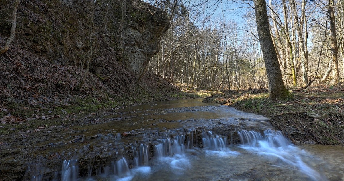 Ohio Birds and Biodiversity: A hodgepodge of INTERESTING SPRING STUFF