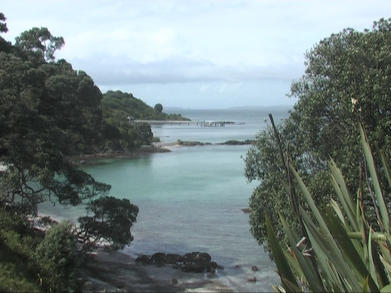 Birding and Dragonfly Videos