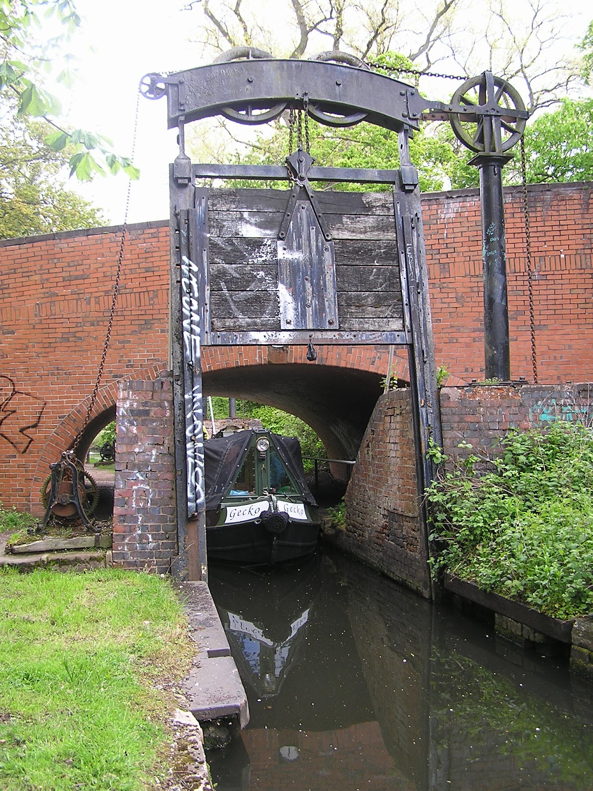 Gecko's Progress: May 2012