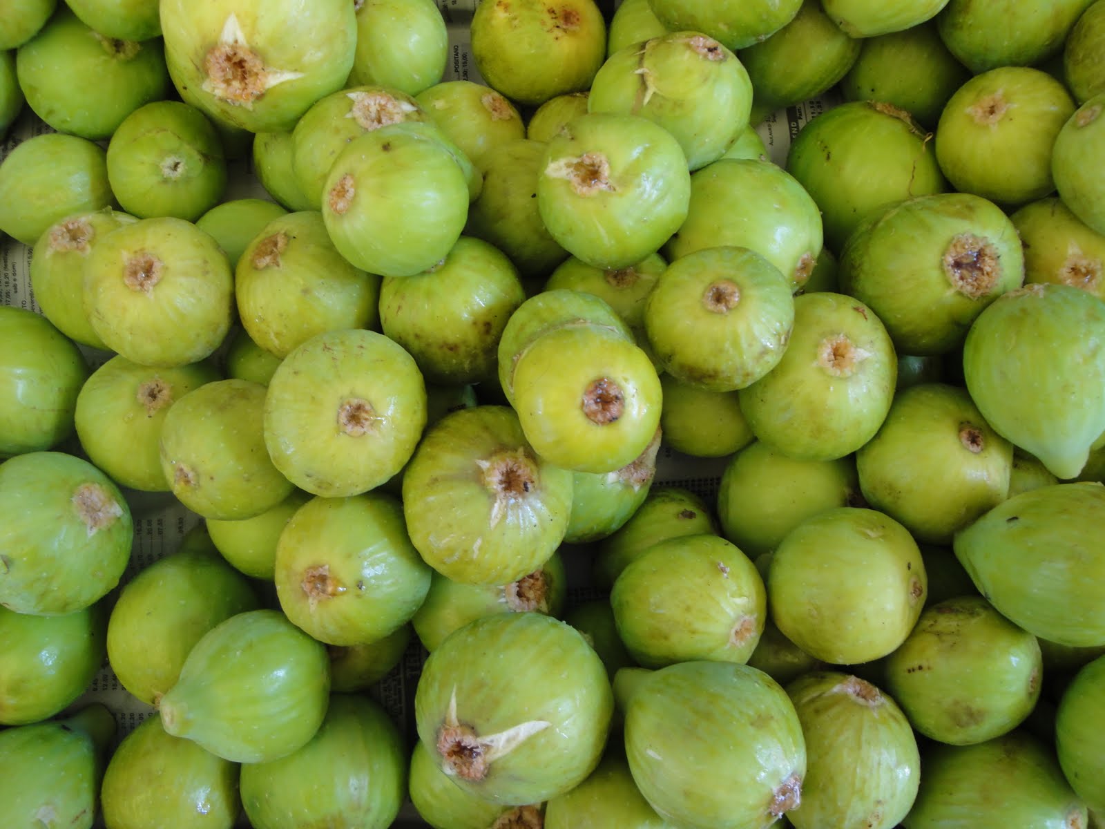 Le franc buveur: Fichi d’Ischia