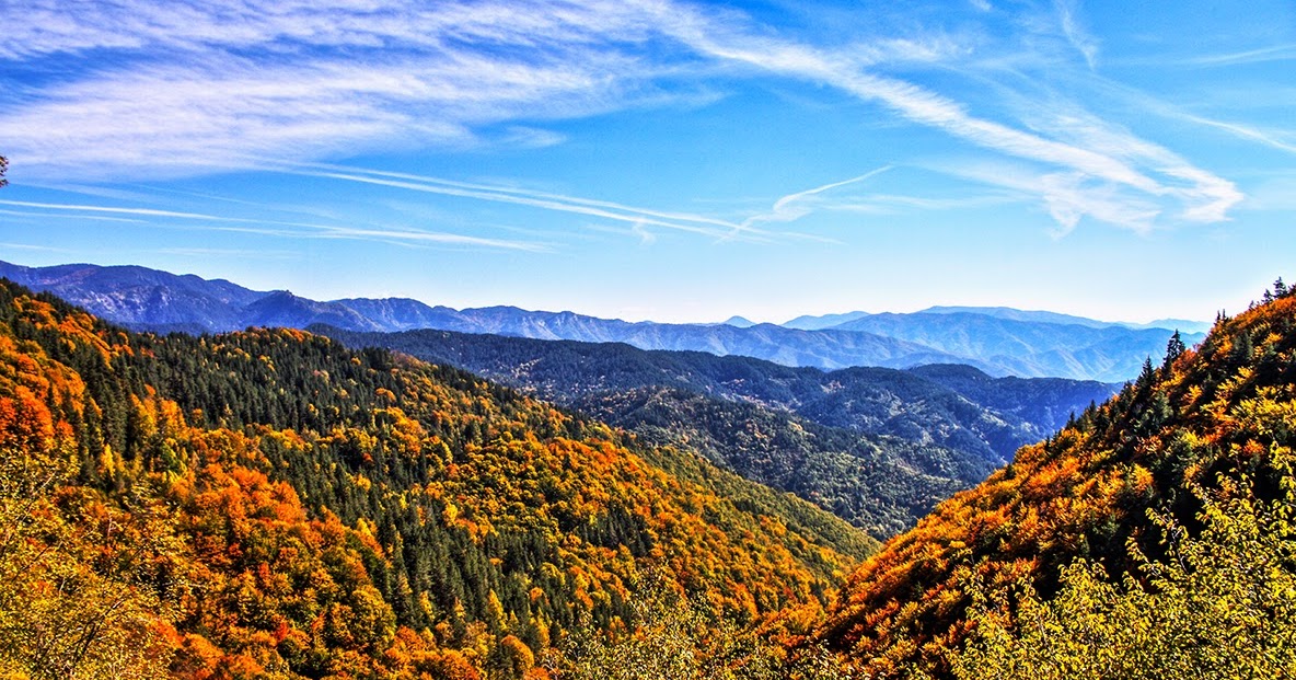 Hellas photography: Rodopi Mountain Range National Park (forest Elatia)