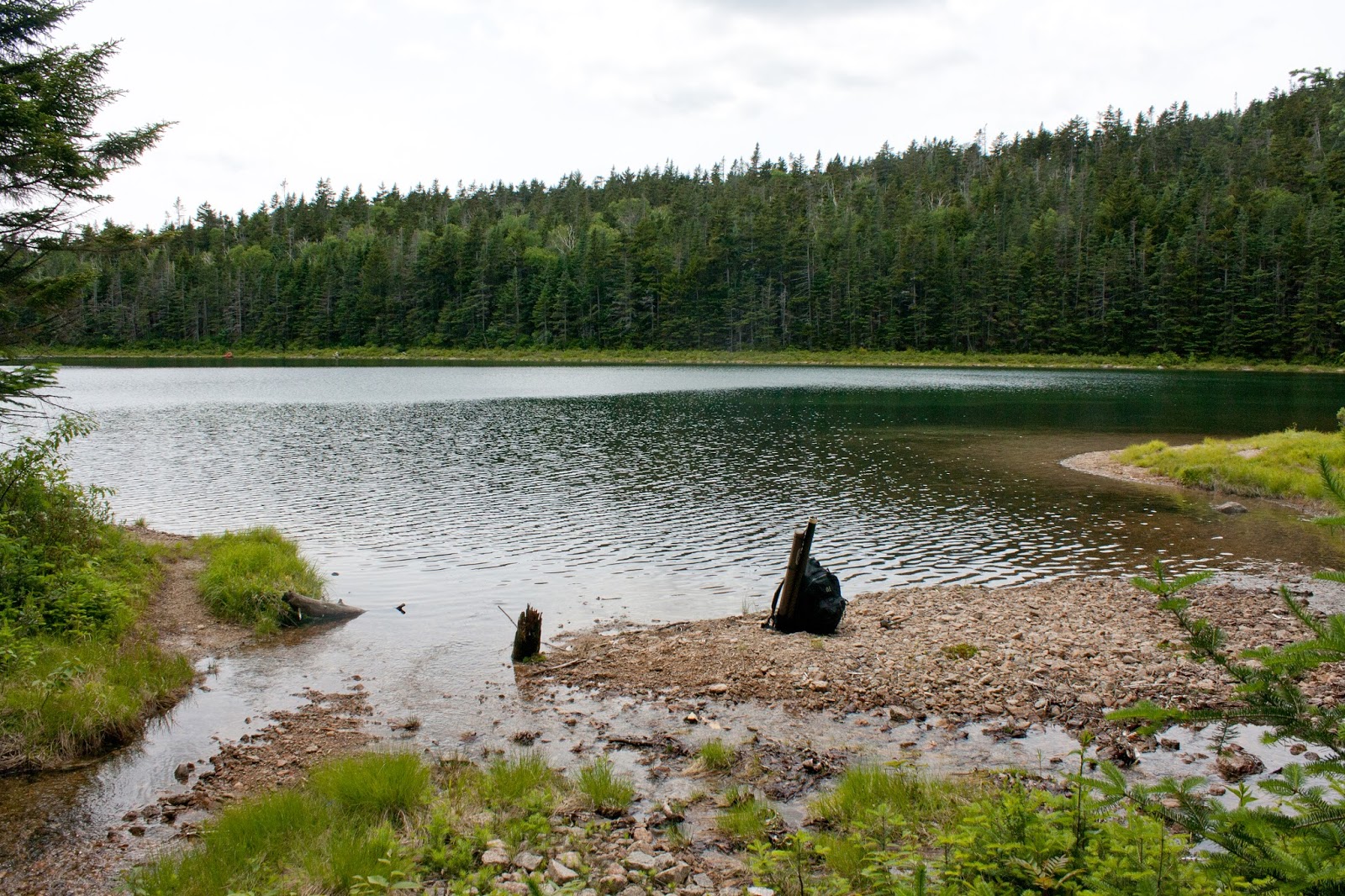 Trout Stream Day Dreams: Journey to a White Mountain Remote Pond