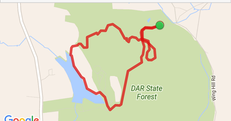 GranWood Explores: Hike #25: D.A.R. State Forest - Goshen, MA