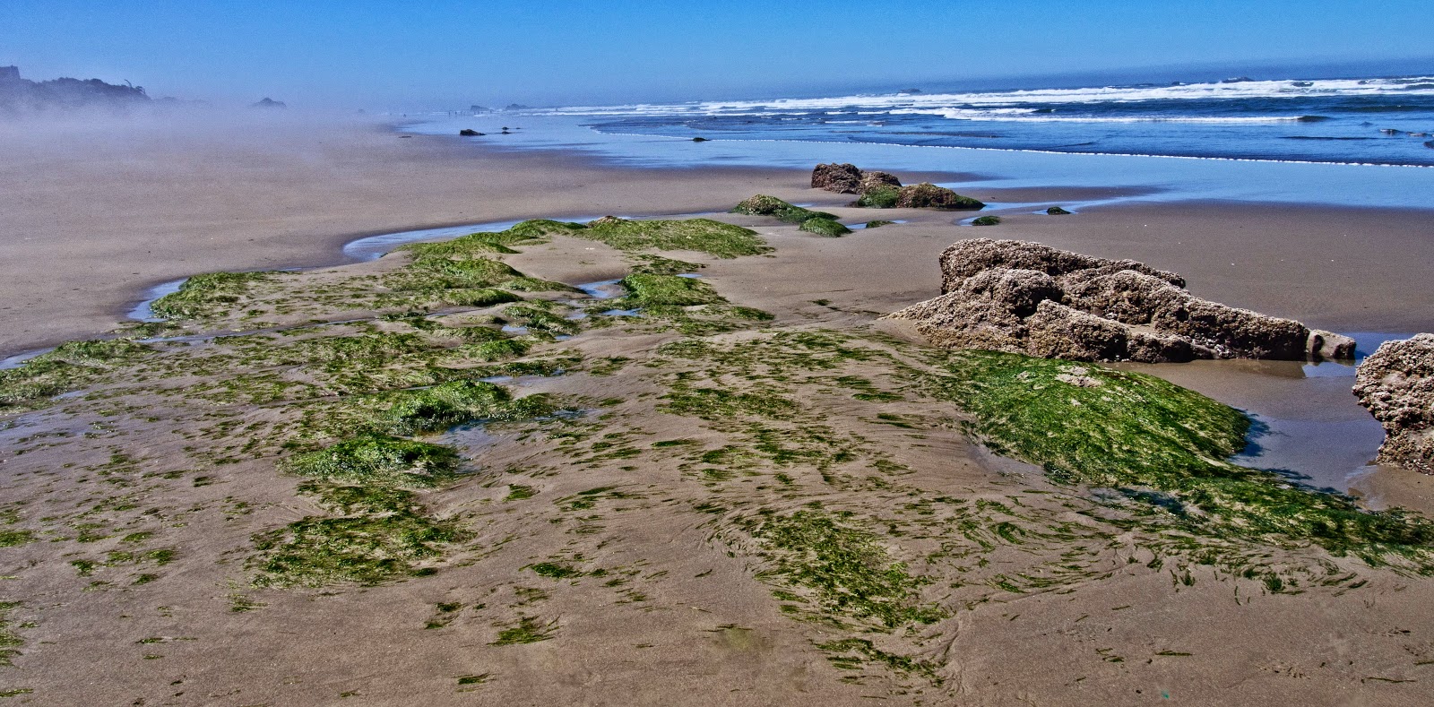 Thom Zehrfeld Photography : Brian Booth State Park | Ona Beach