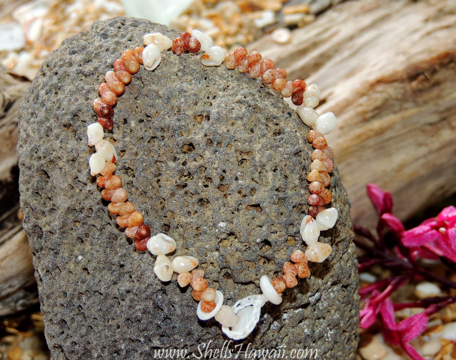 Kahelelani & Sunrise shell jewelry by.... Janjira: Kahelelani shell ...