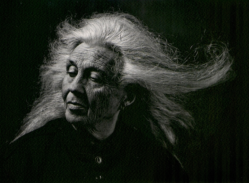 Fusion Inspire : Deep in the Rainforests of Wales: December 2016