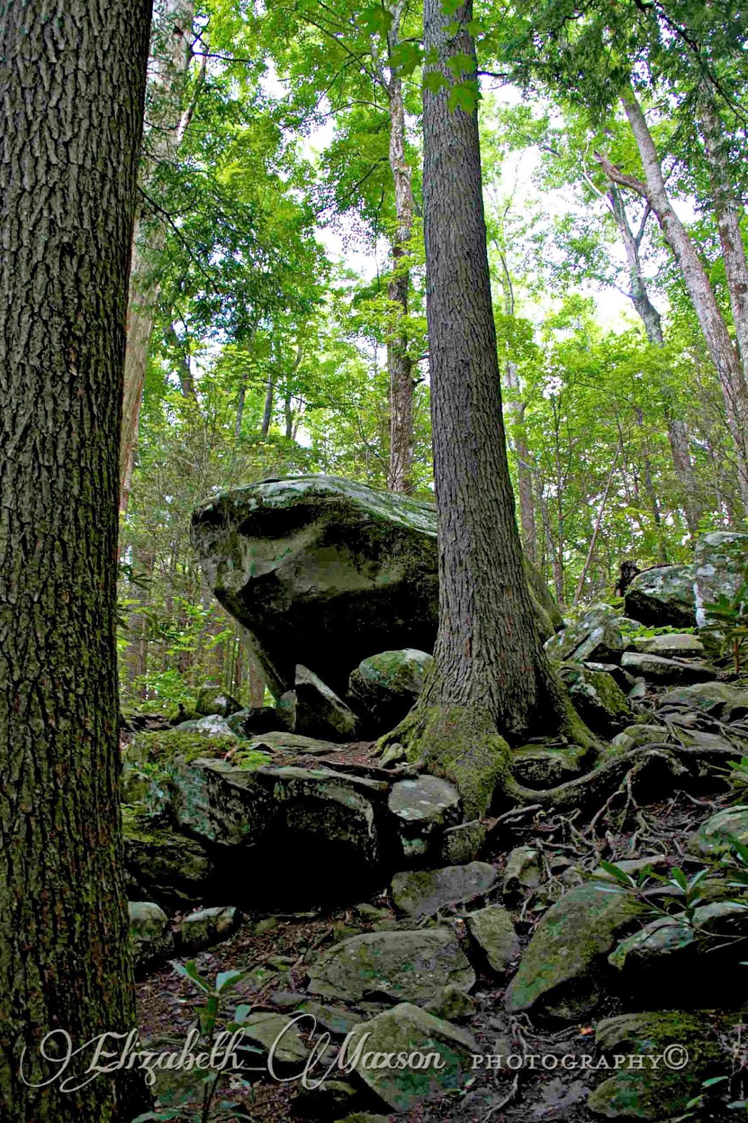 The Adventures of Elizabeth: Some Pathways Need Passing