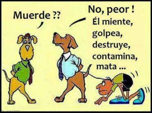 Chistes, bromas y diversión: Chistes de perros