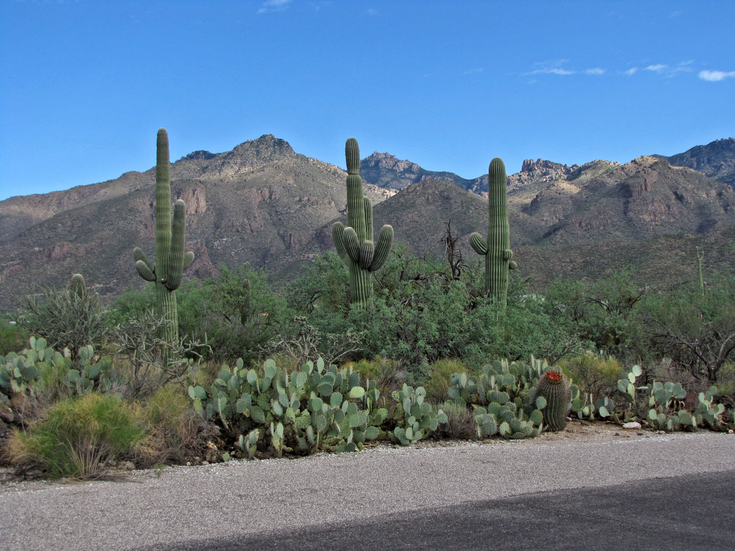Desert Colors: Pleasant weather