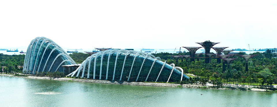 Streamlight Photography: 50 meter man-made Super trees!?...