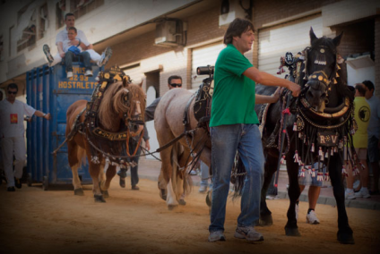 COSTUMARI DURBÀ: Bous al carrer
