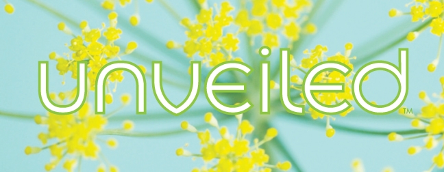 Fly Me to the Moon: Join Us at Two Bridal Shows this Weekend