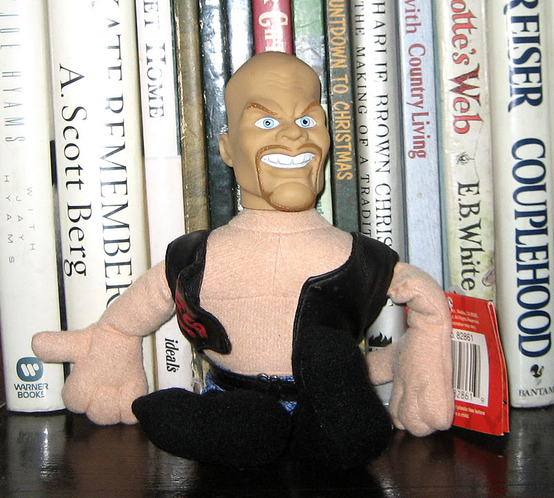 Percy's World of Toys: 3314. Steve Austin a.k.a. Stone Cold