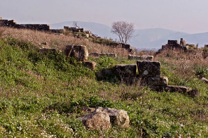 Define Normal: El ecosistema de Stratos antigua - Το οικοσύστημα της ...