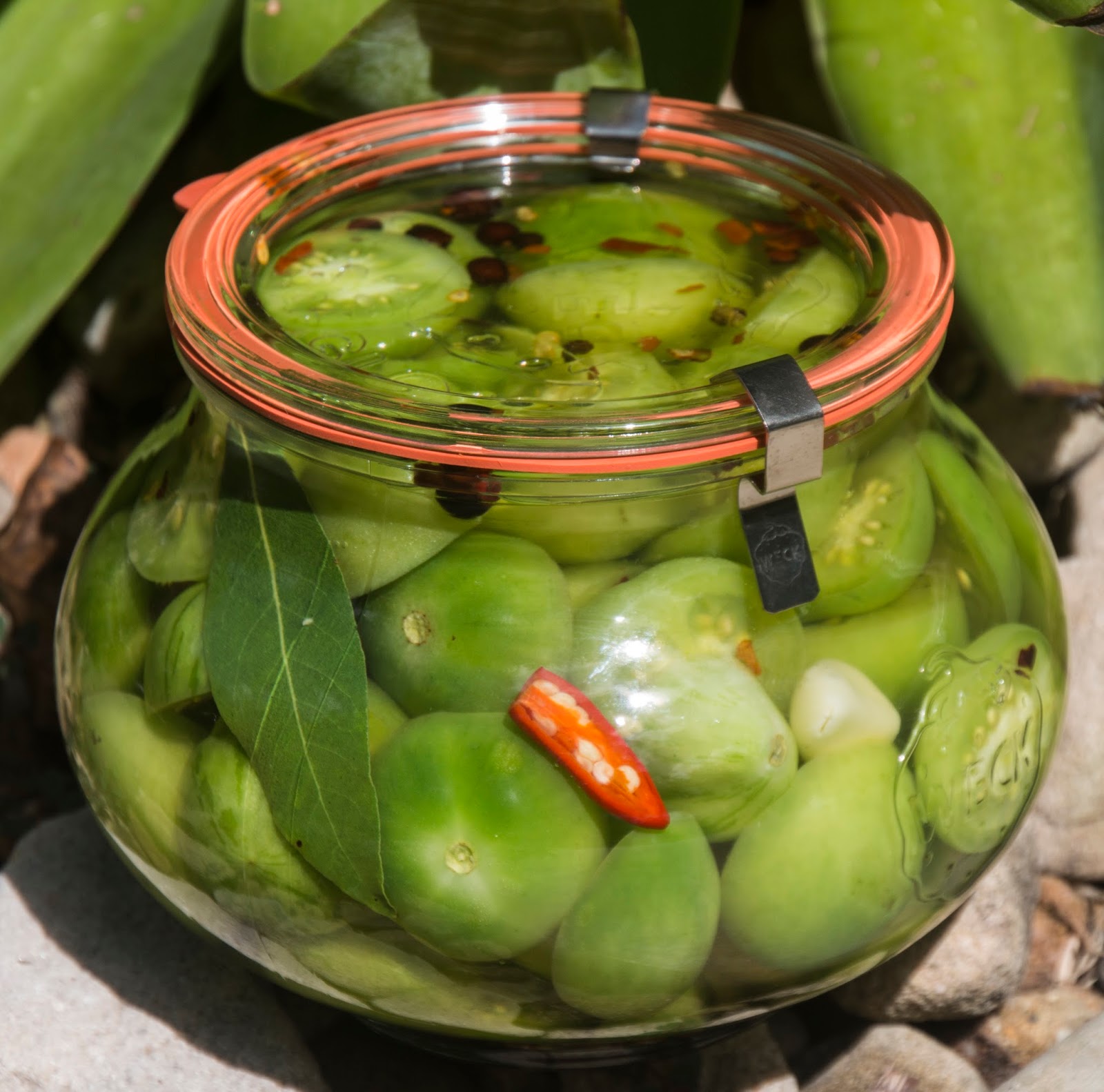 PICKLED GREEN CHERRY TOMATOES