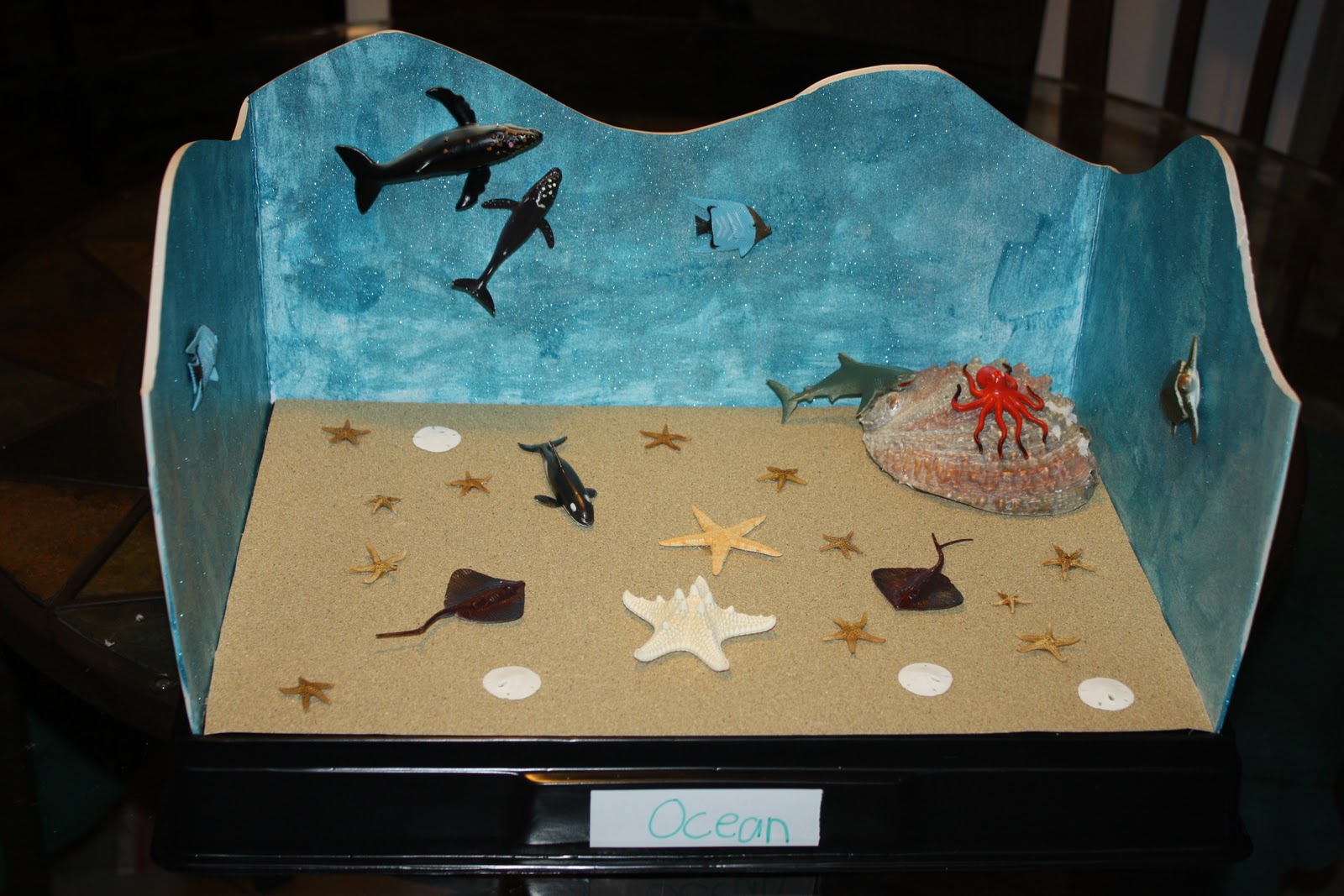 Our Family's Journey: Colonial Day, Ocean Diorama, & Historical Museum