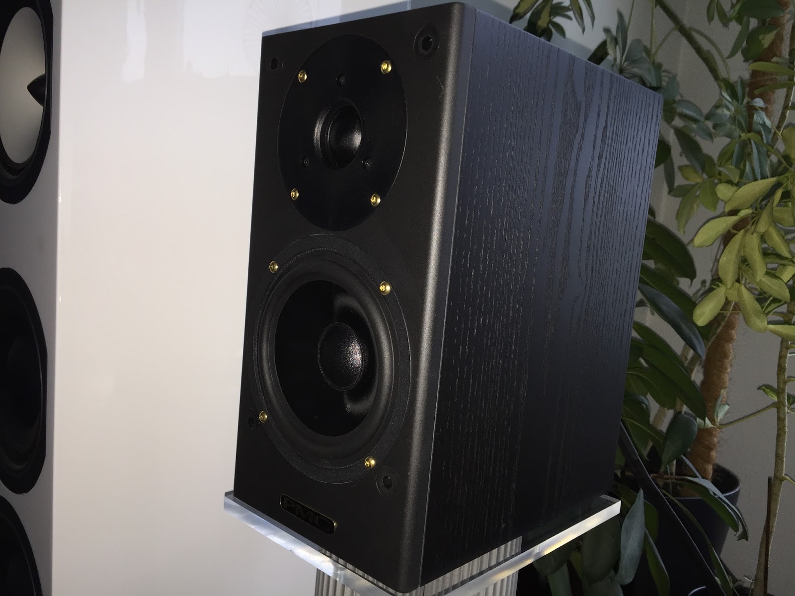 Stereo i Kolorowo - Underground: Monitory PMC DB1 Gold - zapowiedź testu