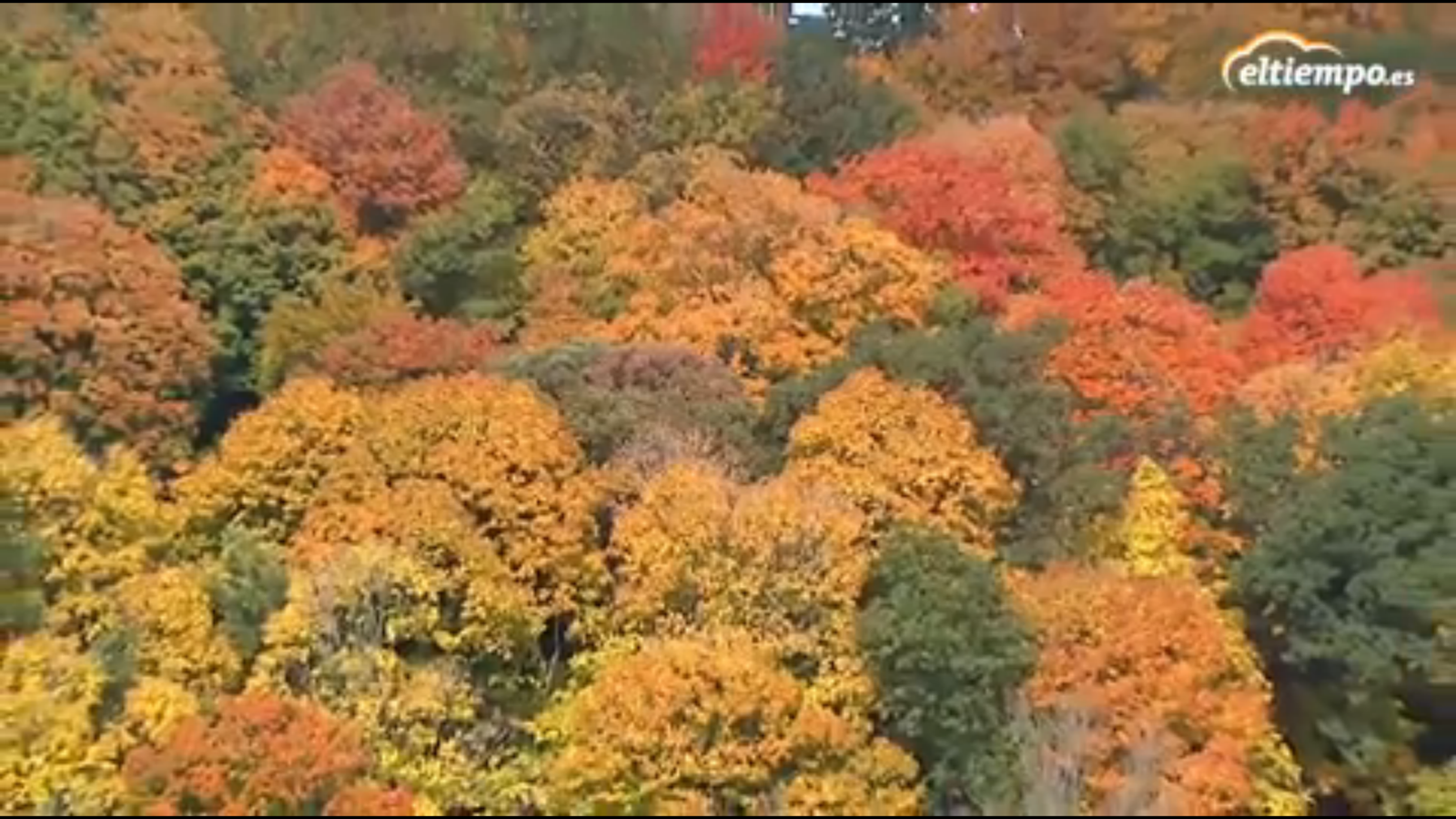 Blog de Geografía del profesor Juan Martín Martín: ¿Por qué cambian de ...