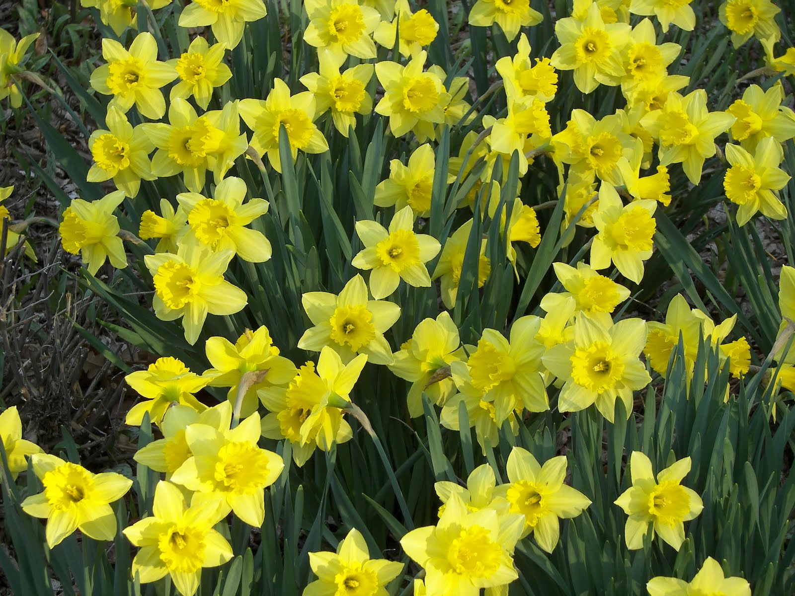 A Bit of Yellow: Yellow Stuff