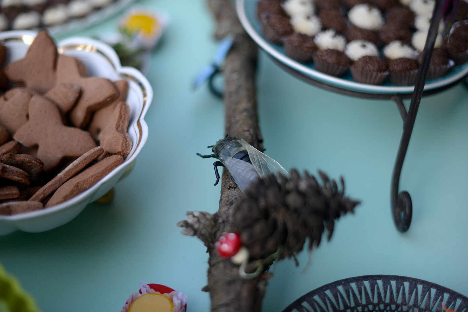 Estéfi Machado: A Festa dos Insetos * DIY Bugs Party