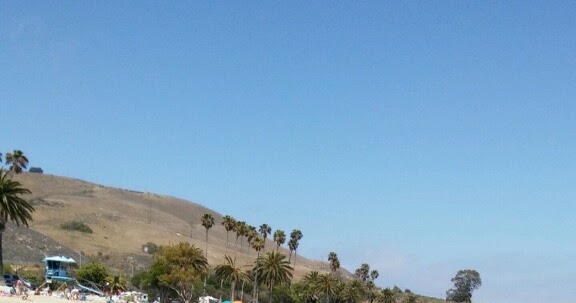 Surf Side Deli : Our Family Surfs