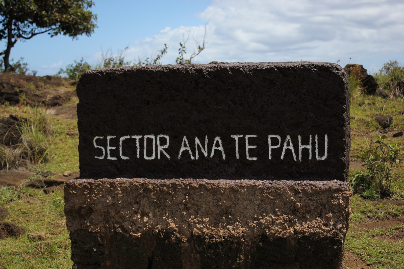 Patrícia de Paula - Street Photography: Ana Te Pahu