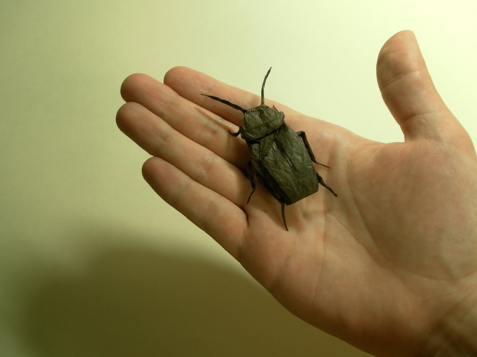 Mariano-Mi mundo el Origami: Cockroach (Cucaracha)