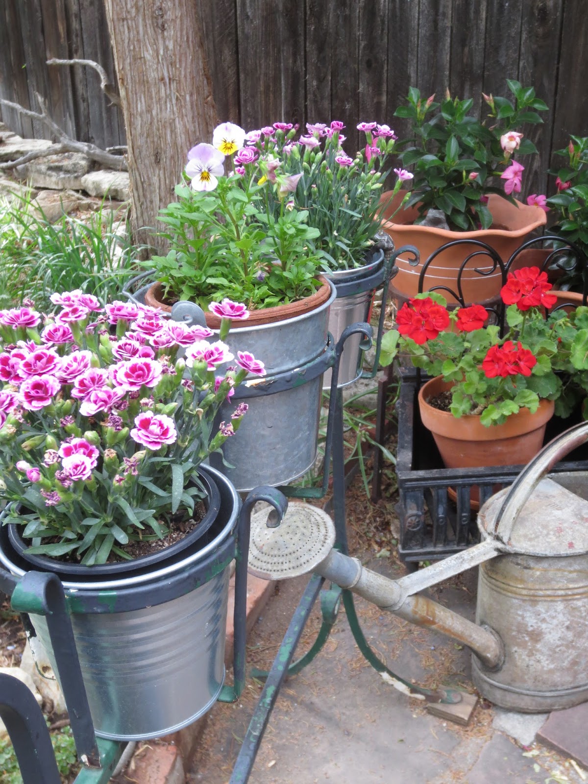 French Country Style from the Foot of the Rockies: June Garden: Pretty ...