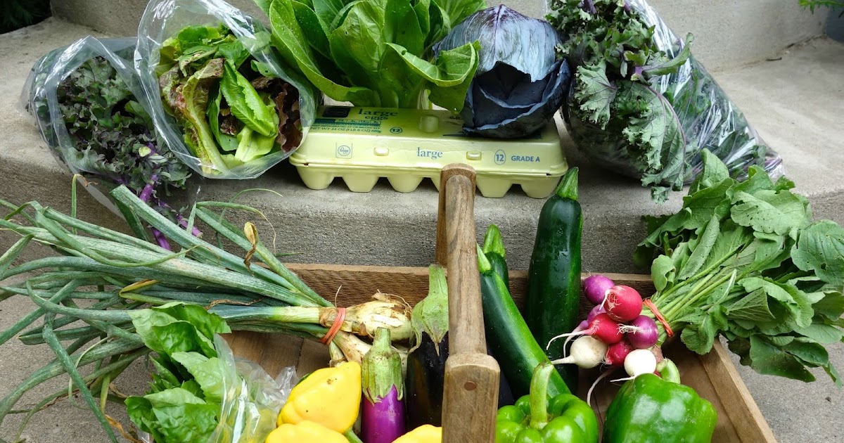 Farm Fresh Feasts: How to Eat Local This Year