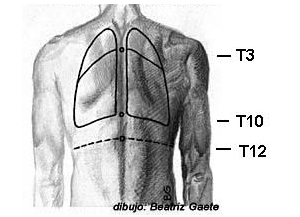 DR.tavarez/semioquirujica/utesa: EXAMEN DEL TORAX