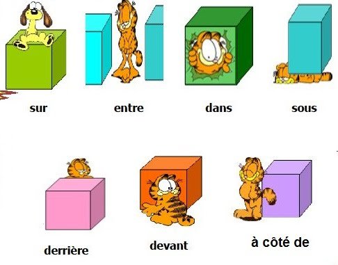 Francés Primaria: Préposition de lieu