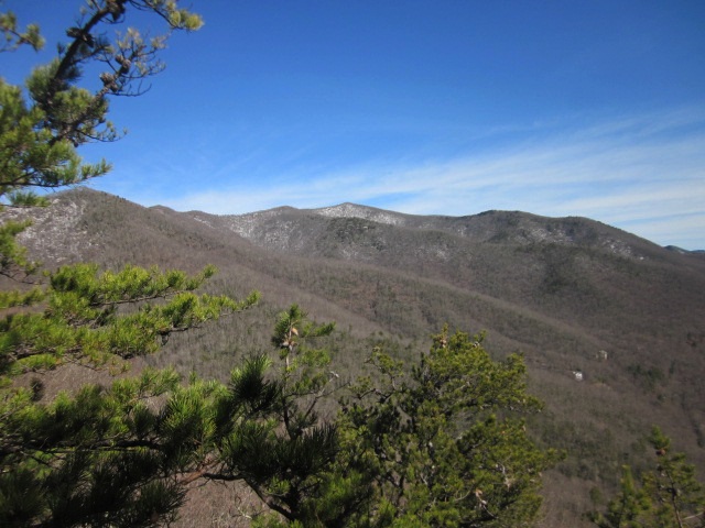 Smoky Scout's Hiking Adventures: Graybeard Mountain Summit - Success At ...