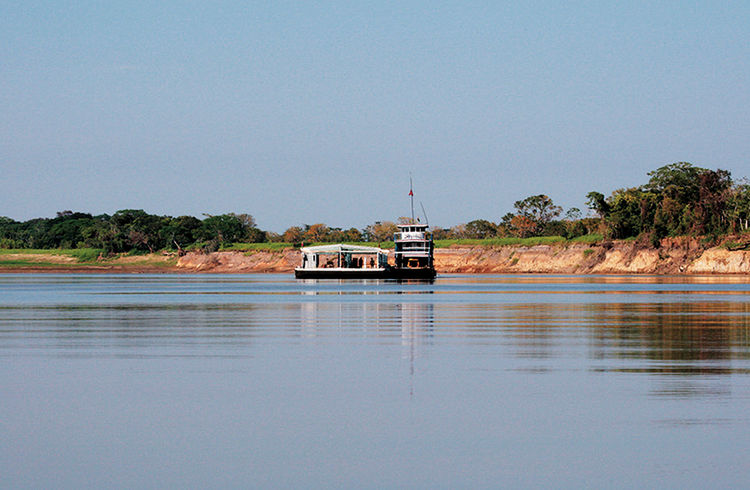 Los secretos del río Mamoré. Sorpresas de agua, tierra y aire | NOTAS ...