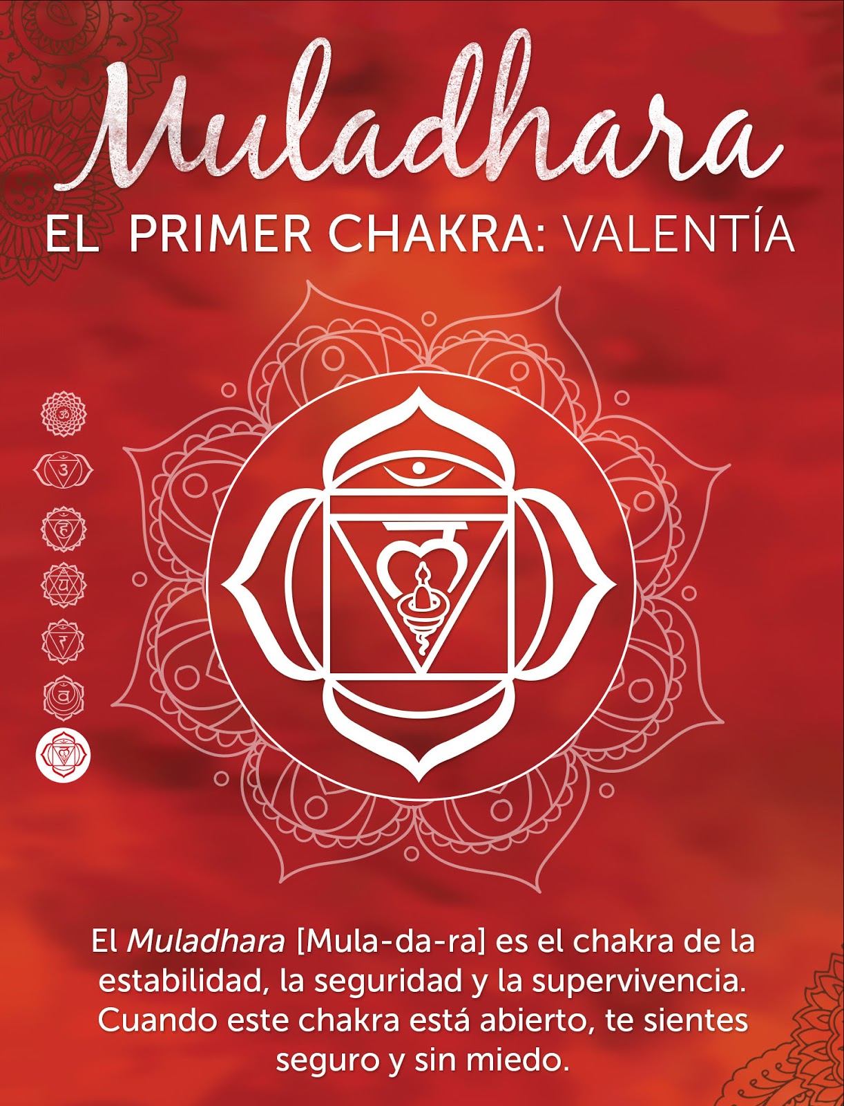 Esencia del Ser: Primer Chakra: La raíz que te conecta a la Tierra