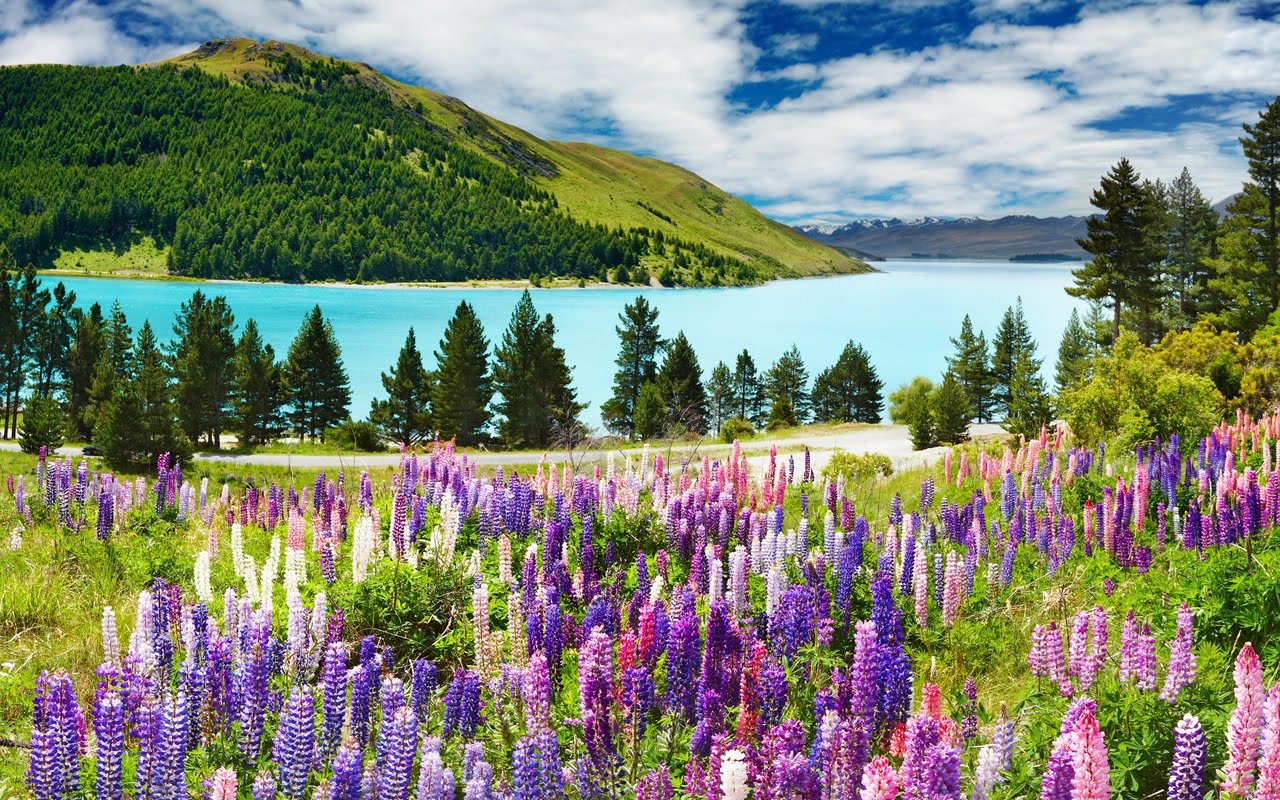 Imagini de Primavara - Poze Imagini Desktop