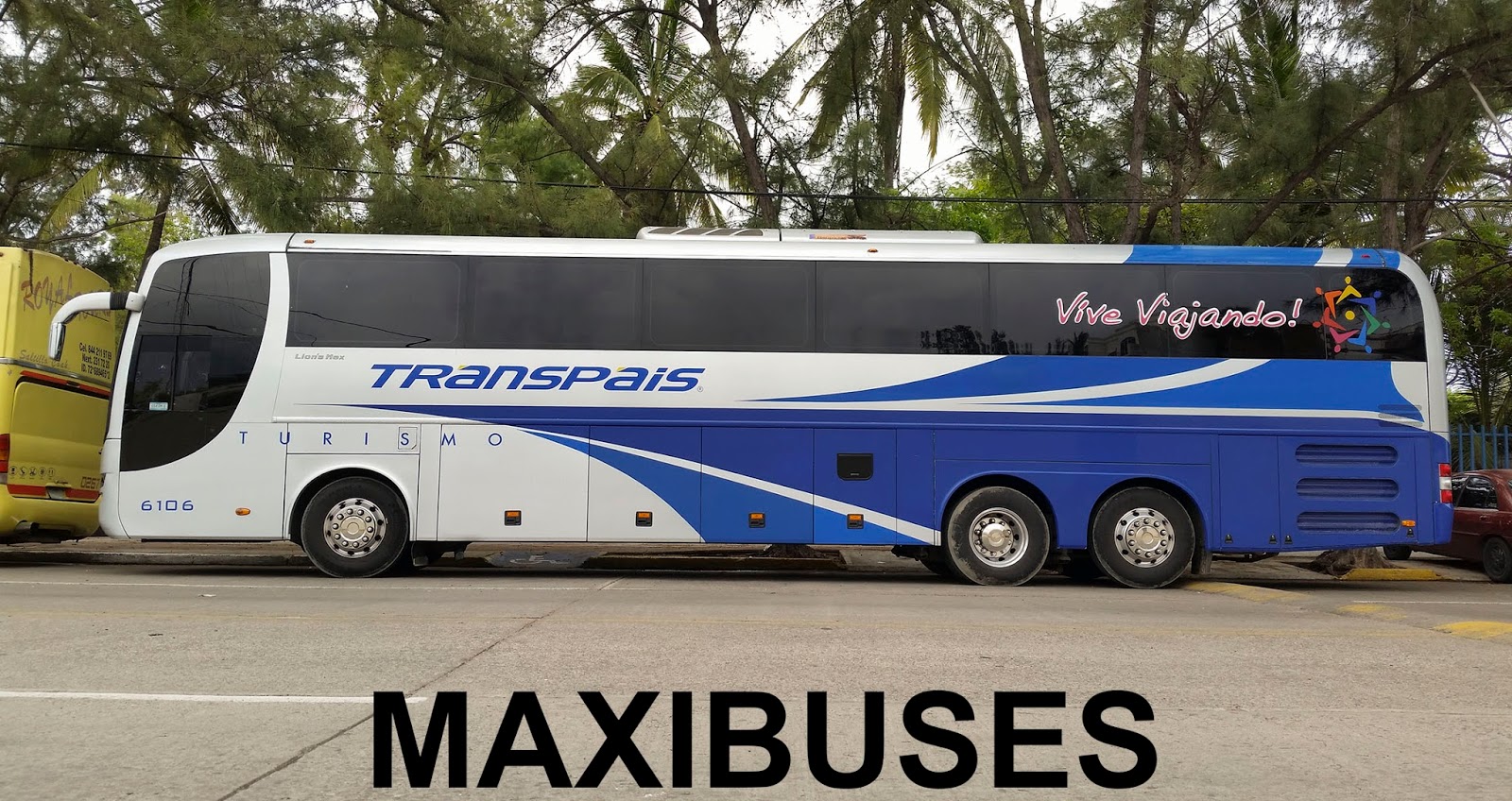 MAXIBUSES: TRANSPAÍS TURISMO (TURISMO)