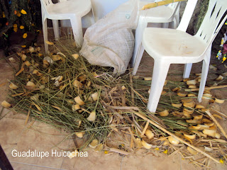 El Bable: La cucharilla, el uso de las hojas del agave en un arte por ...
