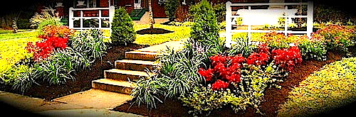 Principles of Landscape Design - Leovan Design