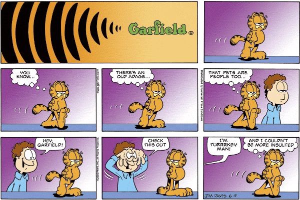 My English Blackboard: Comic Strips - GARFIELD