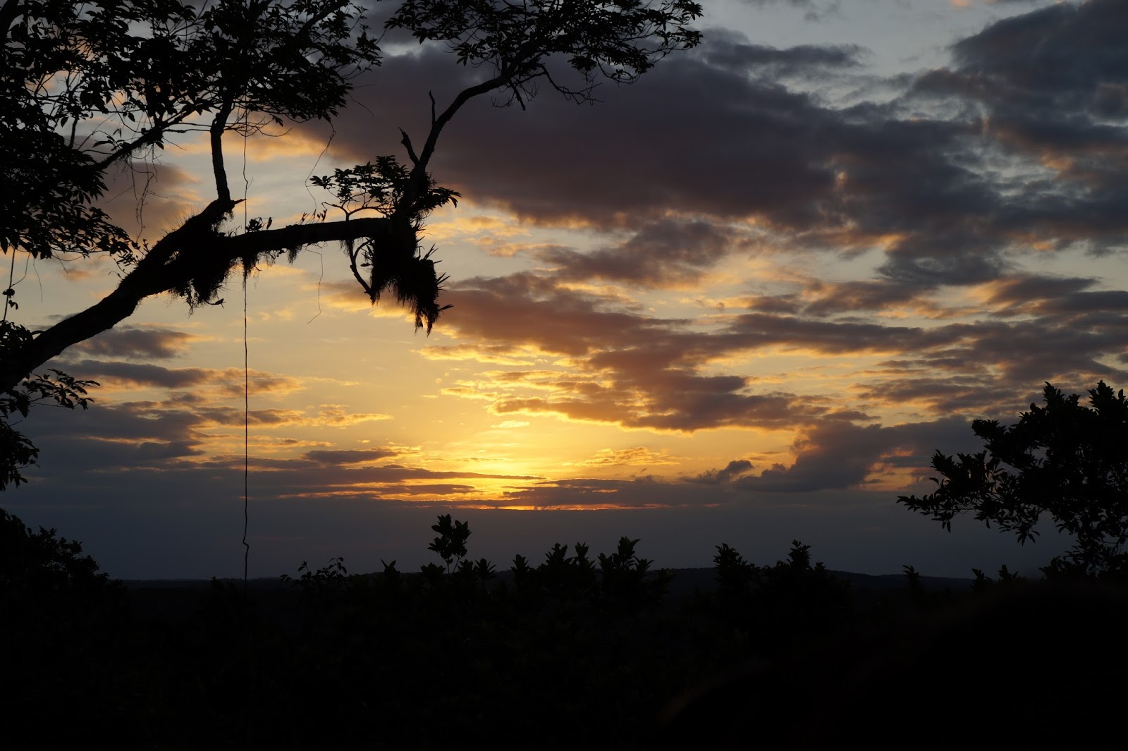 Iridule Imagined: Flores & Tikal: Jungle Pyramids