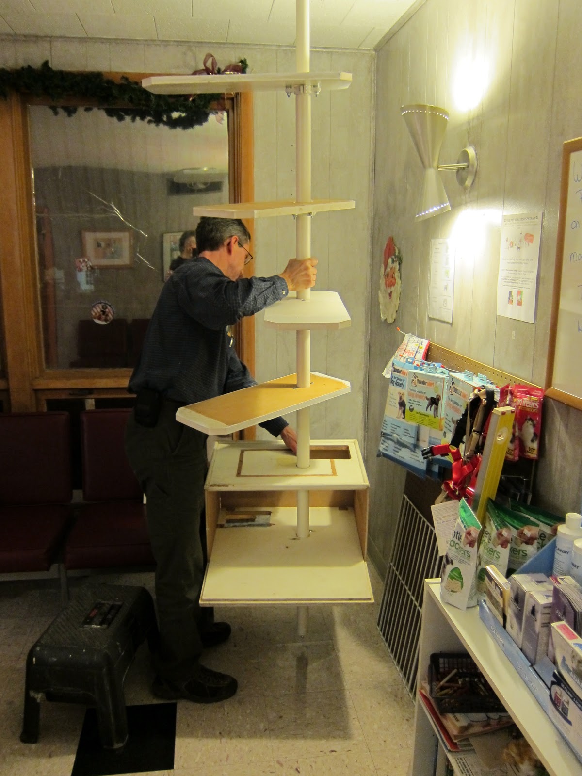 Know Your Pet: Pressure fit custom cat tree