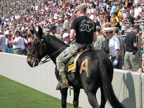 Horse Country Chic: 2015 - The Year of the Mule?