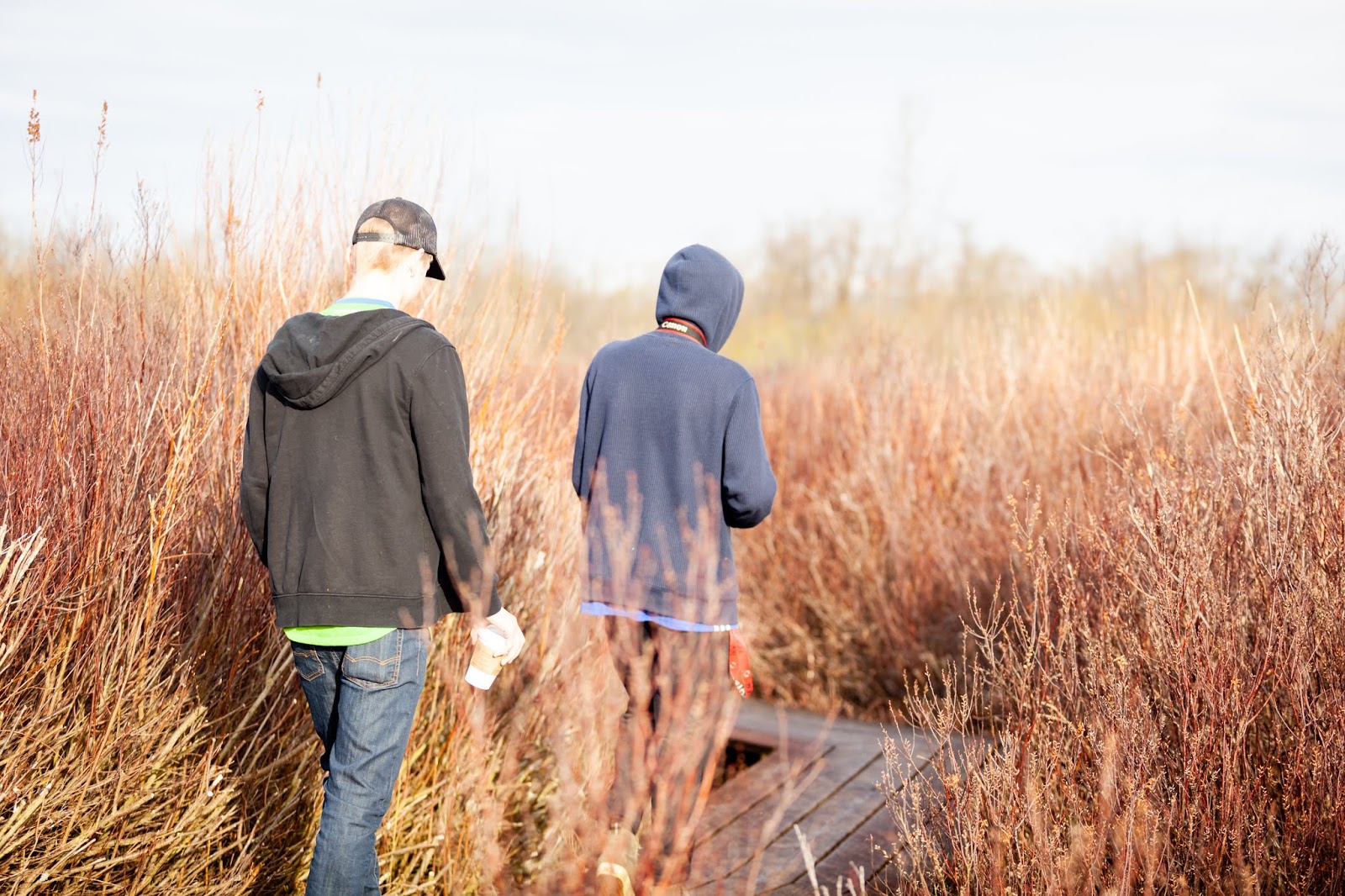 An Assignment: Birding - Parks Academe