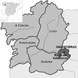 Club Gastrodelia: Presentación de la D.O. Valdeorras en Valencia